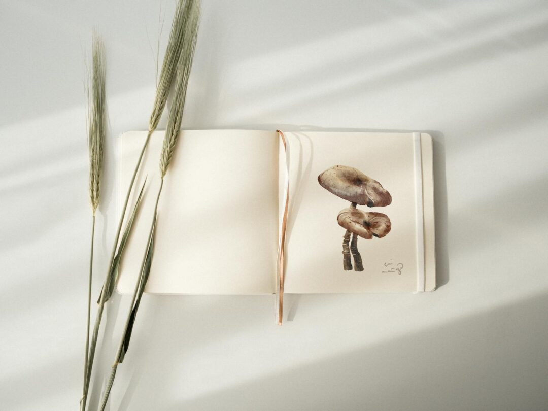 Wedding Guest Book Alternatives: 15 Creative Ideas Couples Actually Use ...